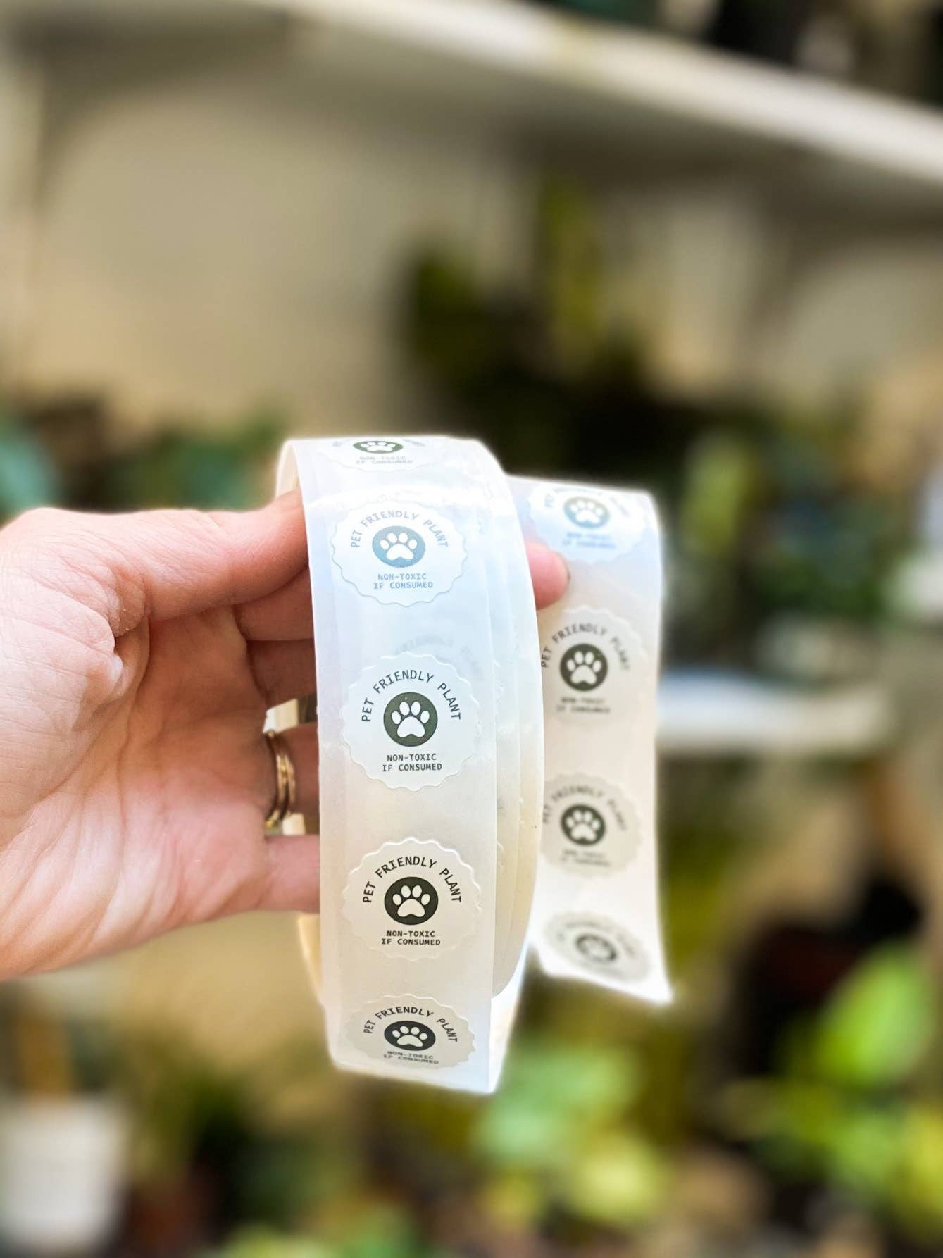The Plant Supply - Pet Friendly Plant Sticker Rolls -100+ Sticker Rolls ...